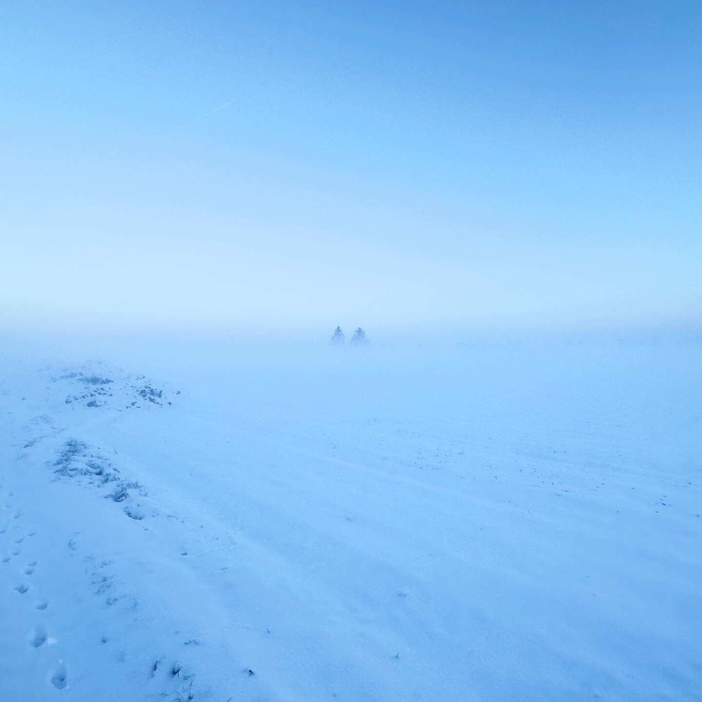Thomas Mielke :verified:: „Was war das bitte wieder für ein geiles ...